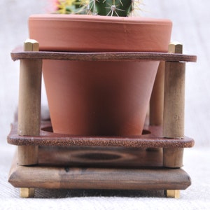 Modern Leather Cactus Stand, Ceramic Pots on Wooden Stand, High Quality ...