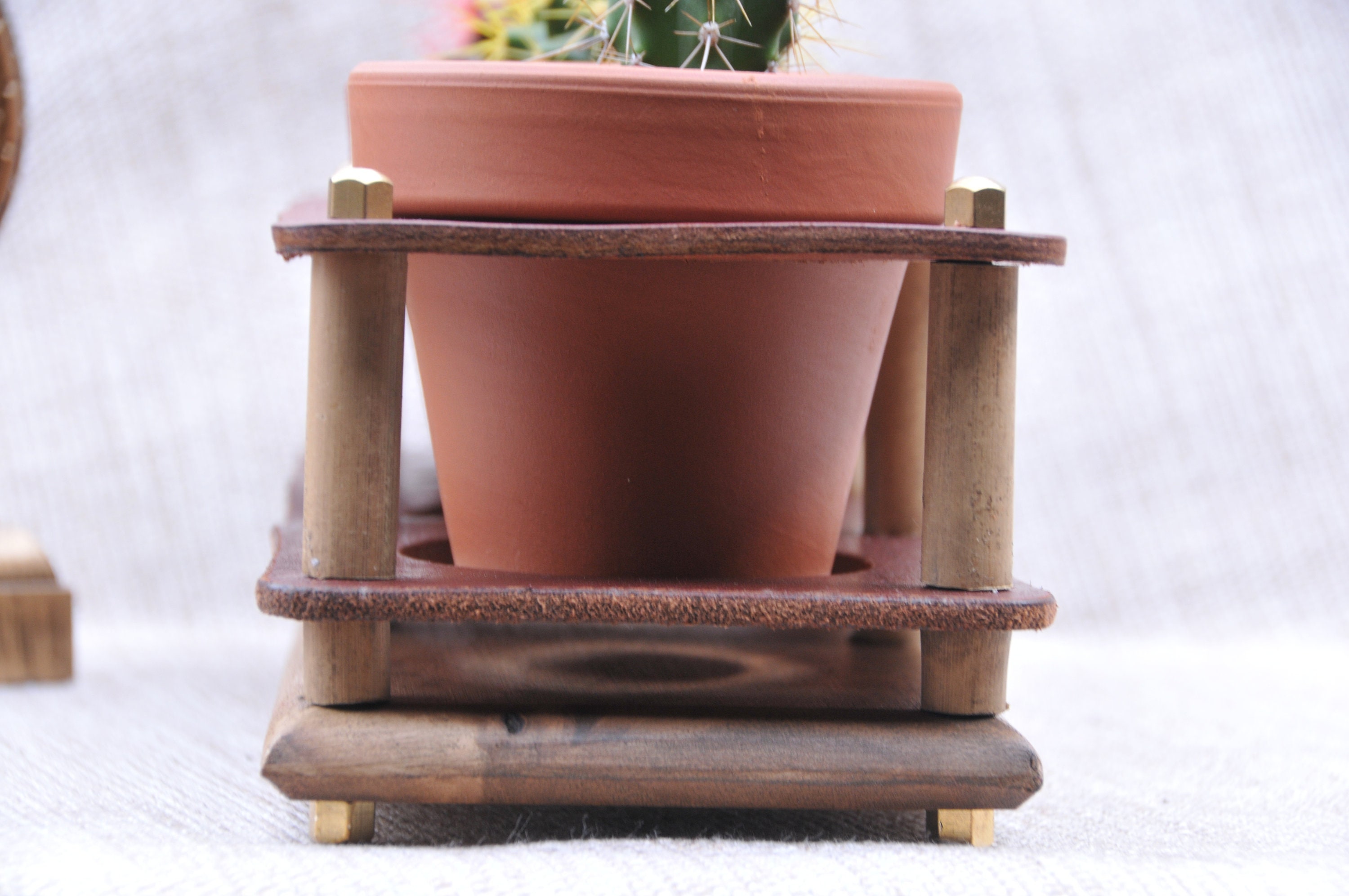 Modern Leather Cactus Stand Ceramic Pots on Wooden Stand - Etsy