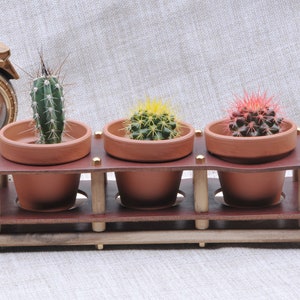 Modern Leather Cactus Stand, Ceramic Pots on Wooden Stand, High Quality ...
