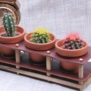 Modern Leather Cactus Stand, Ceramic Pots on Wooden Stand, High Quality ...