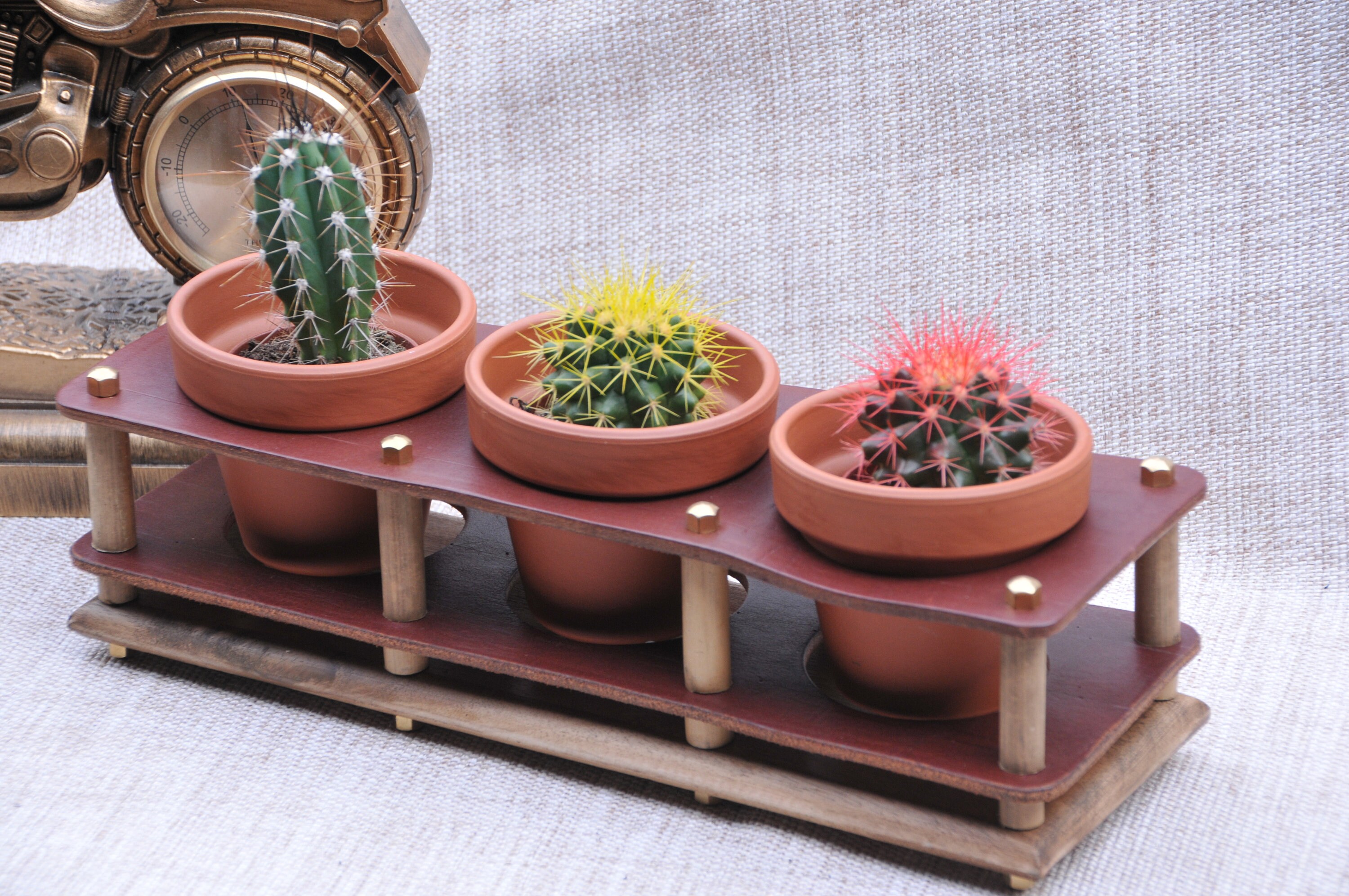 Modern Leather Cactus Stand Ceramic Pots on Wooden Stand - Etsy