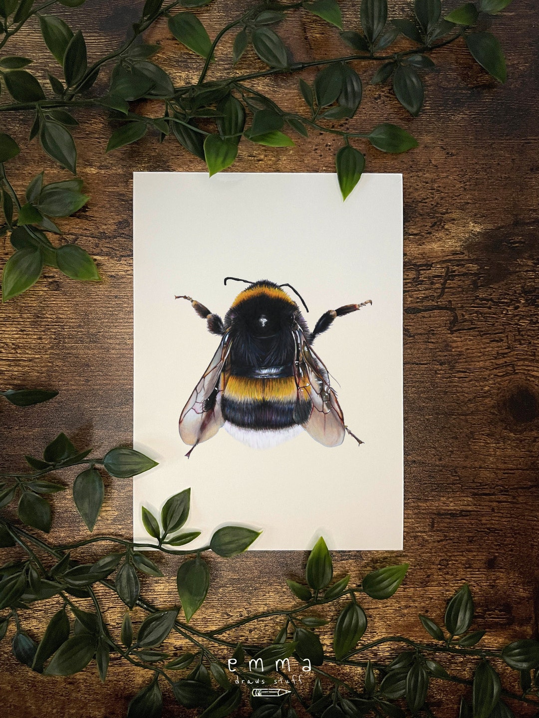 A4 & A5 Realistic Bee Colored Pencil Print - Etsy
