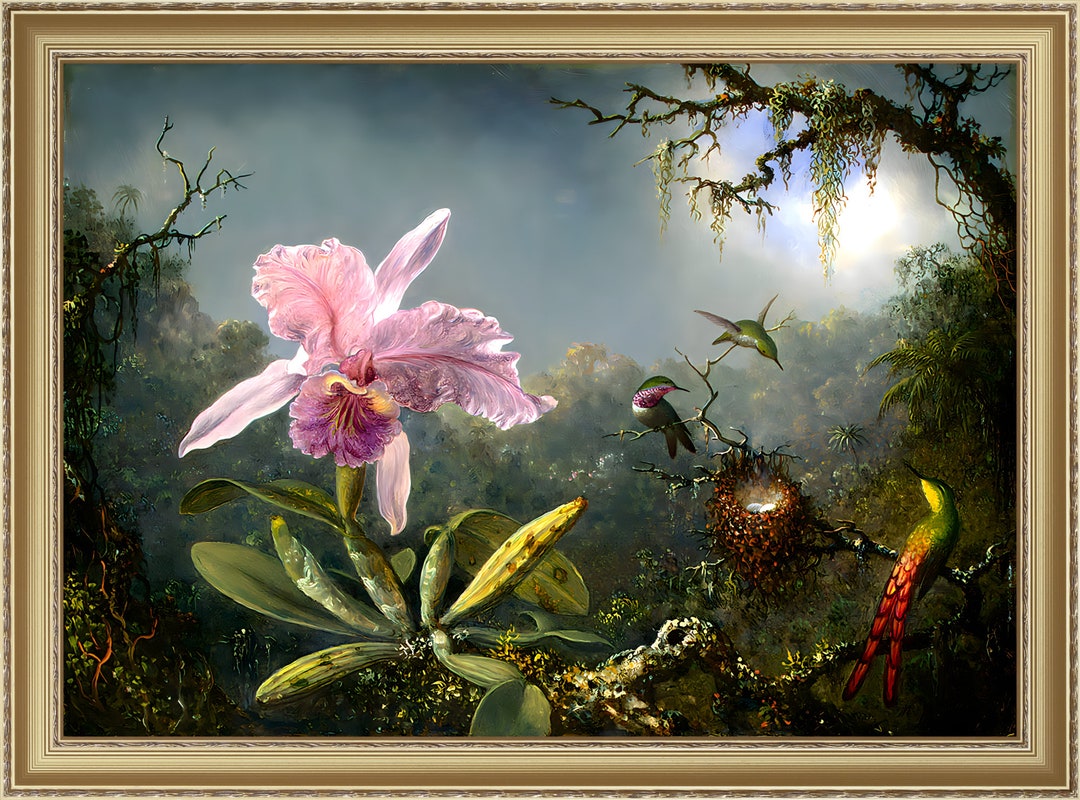 Martin Johnson Heade, Orchid and Hummingbirds, 1871- A4 / A3 ...