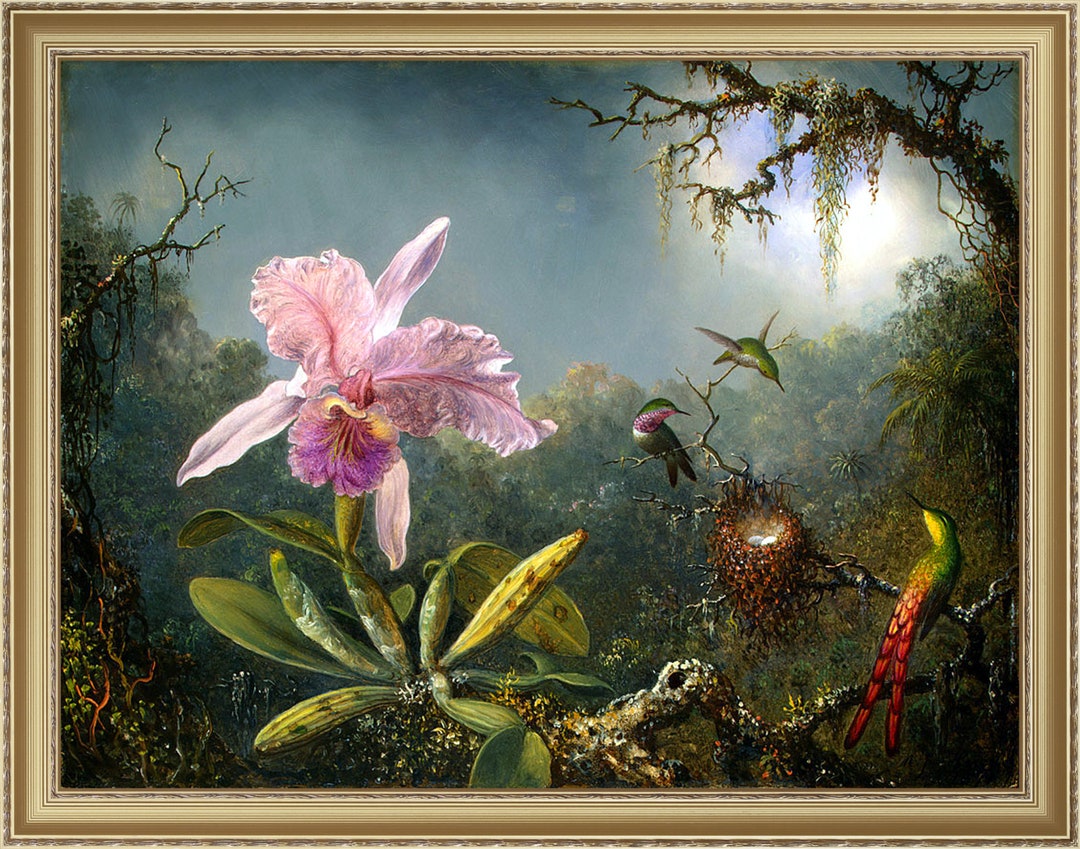 Martin Johnson Heade Orchid and Hummingbirds 1871 A4 - Etsy