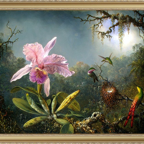 Martin Johnson Heade Orchid and Hummingbirds 1871 A4 - Etsy