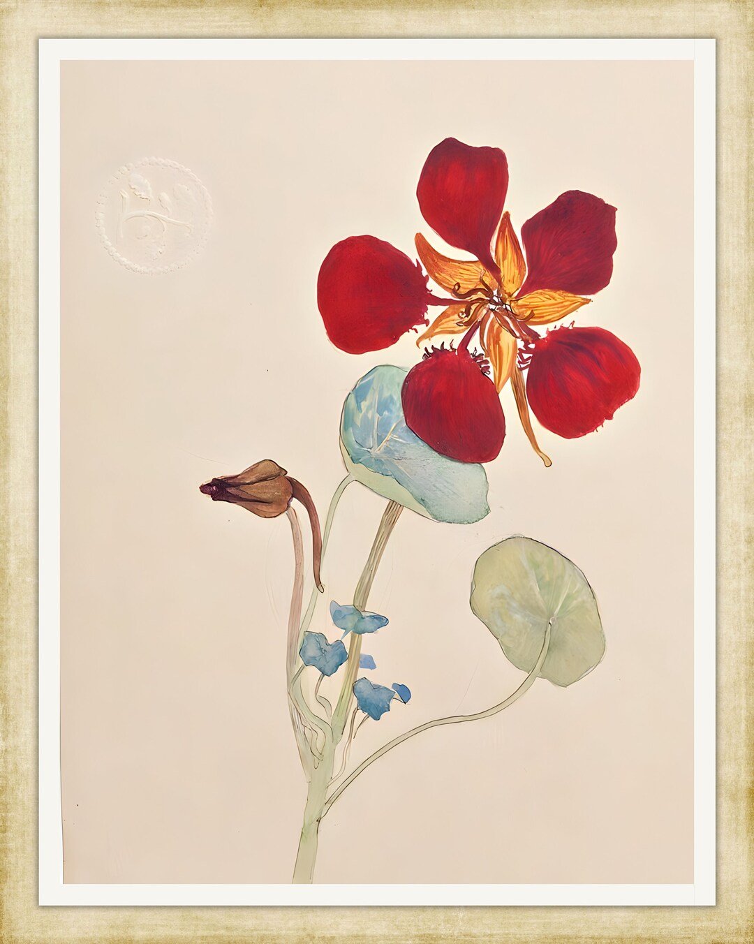 Buy Hilma Af Klint, Cress, 1890s, A4 / A3 Reproduction Fine Art Print ...