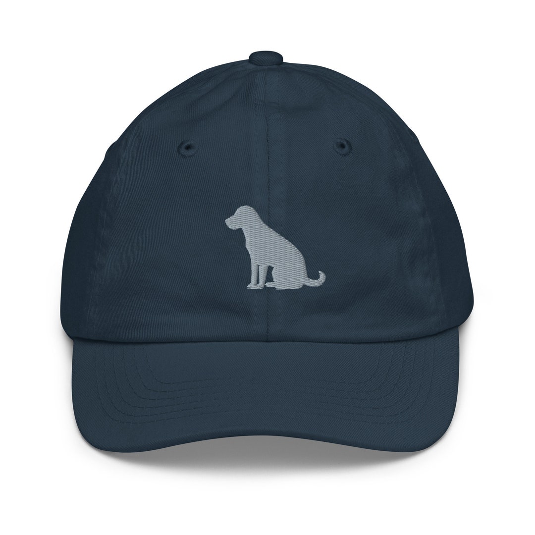 Labrador Retriever Kids Hat, Embroidered Youth Baseball Cap, 2-10 Yr ...