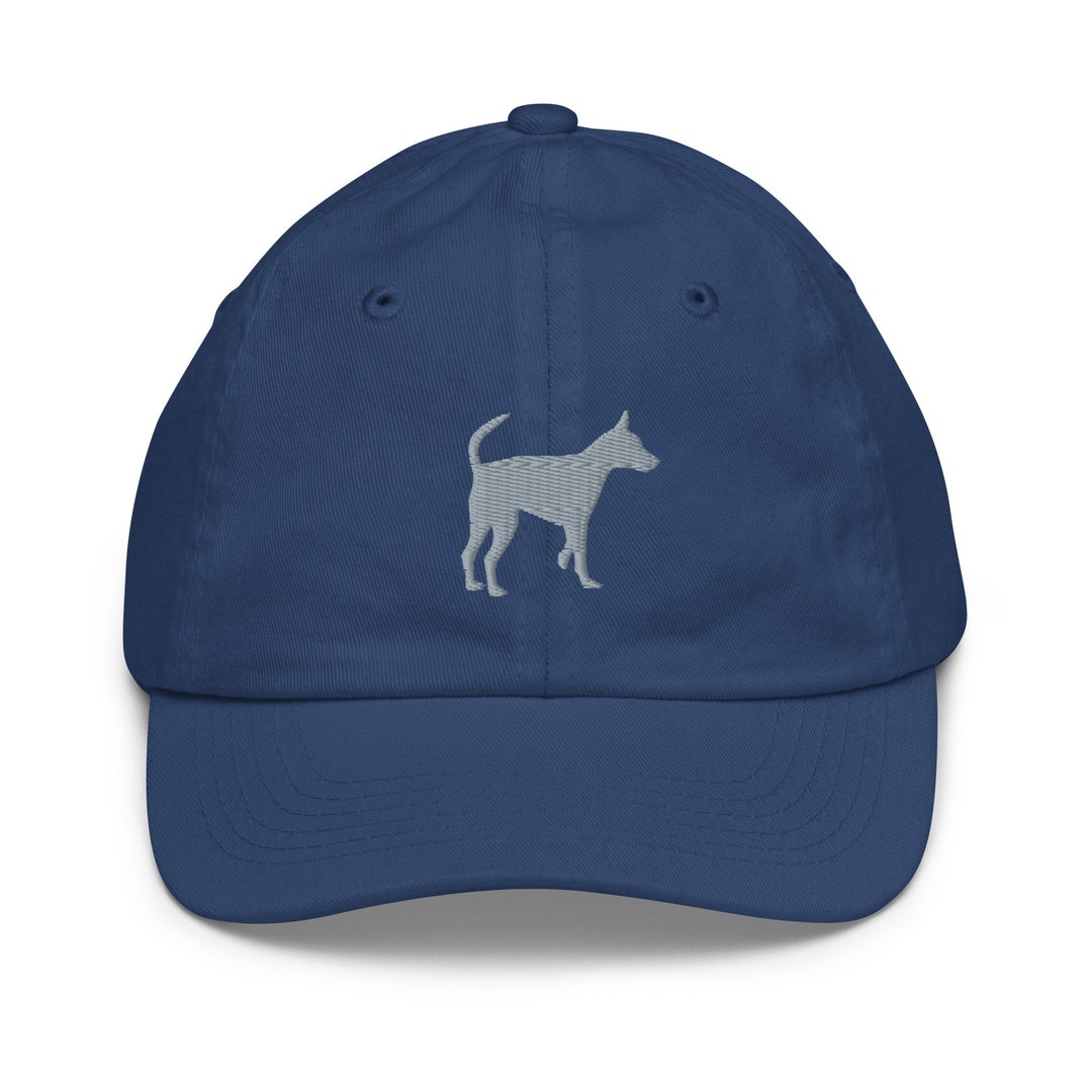 Miniature Pinscher Kids Hat, Embroidered Youth Baseball Cap, 2-10 Yr ...