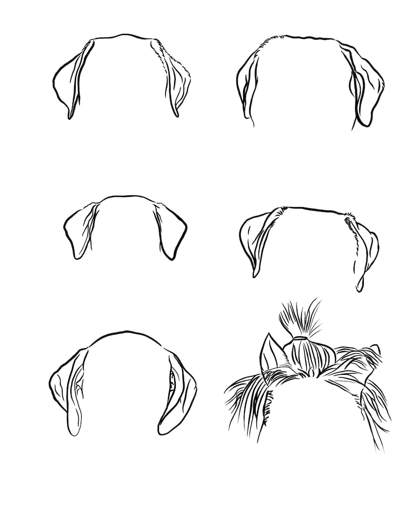 Pet Ear Line Art PNG Custom File - Etsy