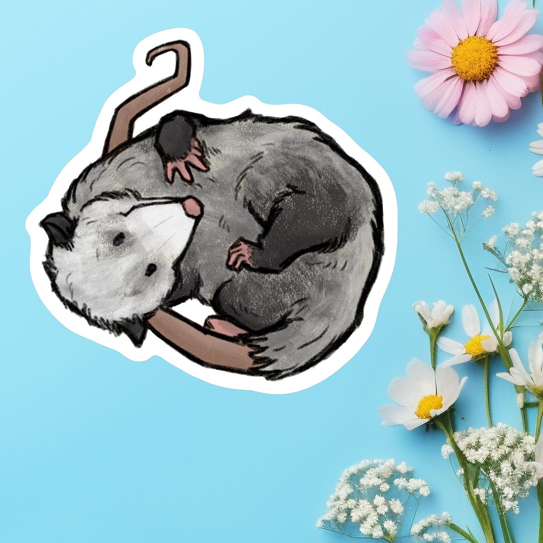 Cute Curled Opossum Waterproof Vinyl Sticker - Etsy