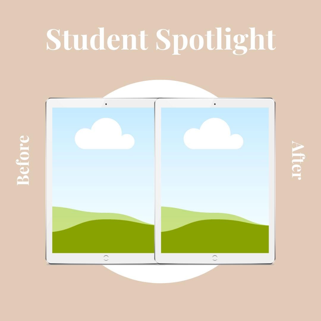 Client Spotlight Instagram Templates: Editable Canva Posts (PDF) - Etsy