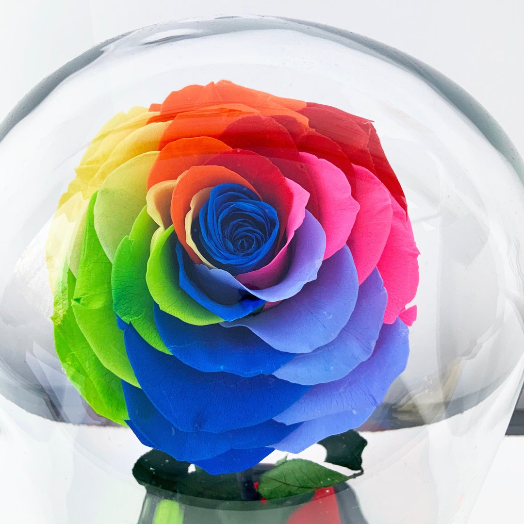 Single Rose in a Glass Dome Everlasting Forever Preserved Roses Gift ...