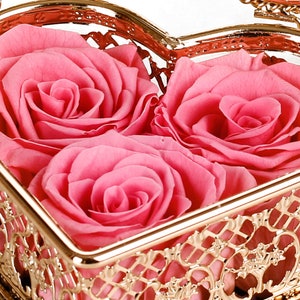 LGBTQ Pride Month Roses in a Vintage Heart Glass Jewelry Box, Wedding ...