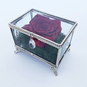 Forever Roses in Rectangle Glass Box Perfect as a Table - Etsy
