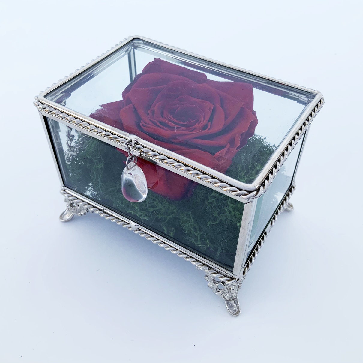 Forever Roses in Rectangle Glass Box Perfect as a Table | Etsy