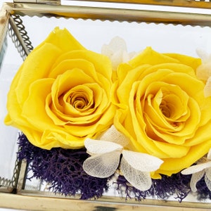 Forever Roses in Rectangle Glass Box Perfect as a Table - Etsy