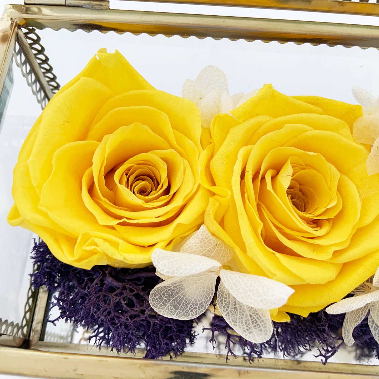 Forever Roses in Rectangle Glass Box Perfect as a Table | Etsy