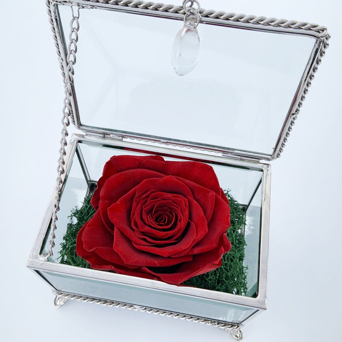 Forever Roses in Rectangle Glass Box Perfect as a Table | Etsy