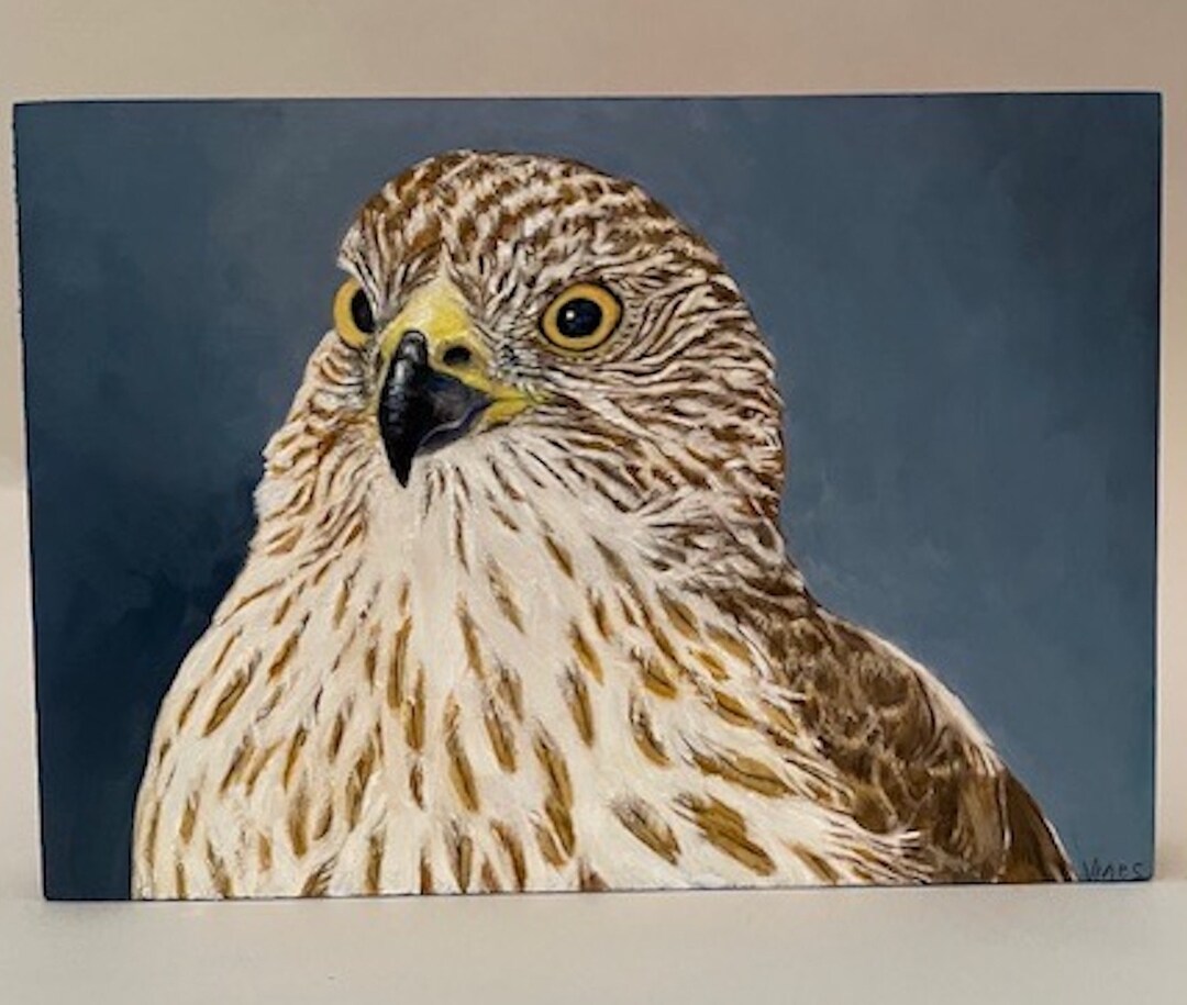 Red-tailed Hawk Portrait Painting, Bird Art, Hand Painted With Original ...