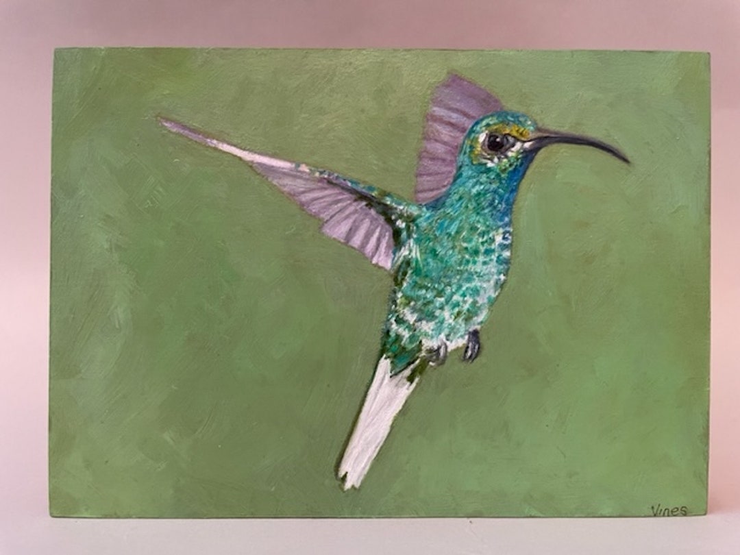White-tail Hummingbird, Sawbrewing Hummingbird,original Oil Painting ...