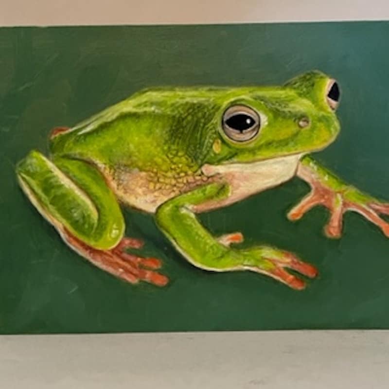 Tree Frog Painting - Etsy