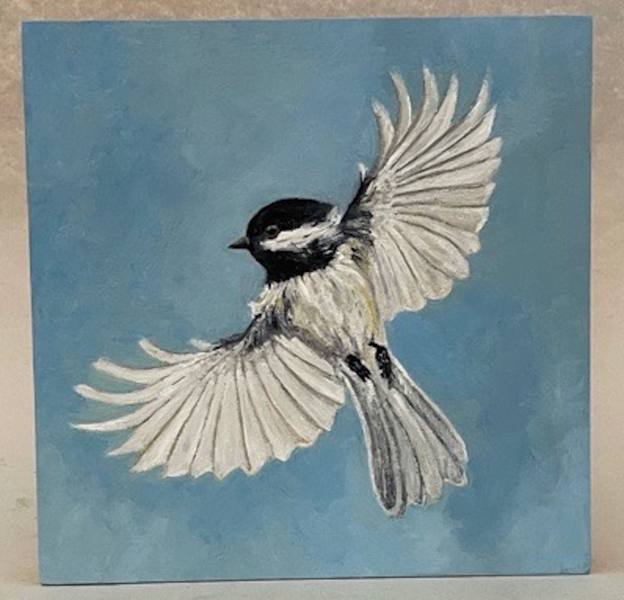 Chickadee Flying Drawing