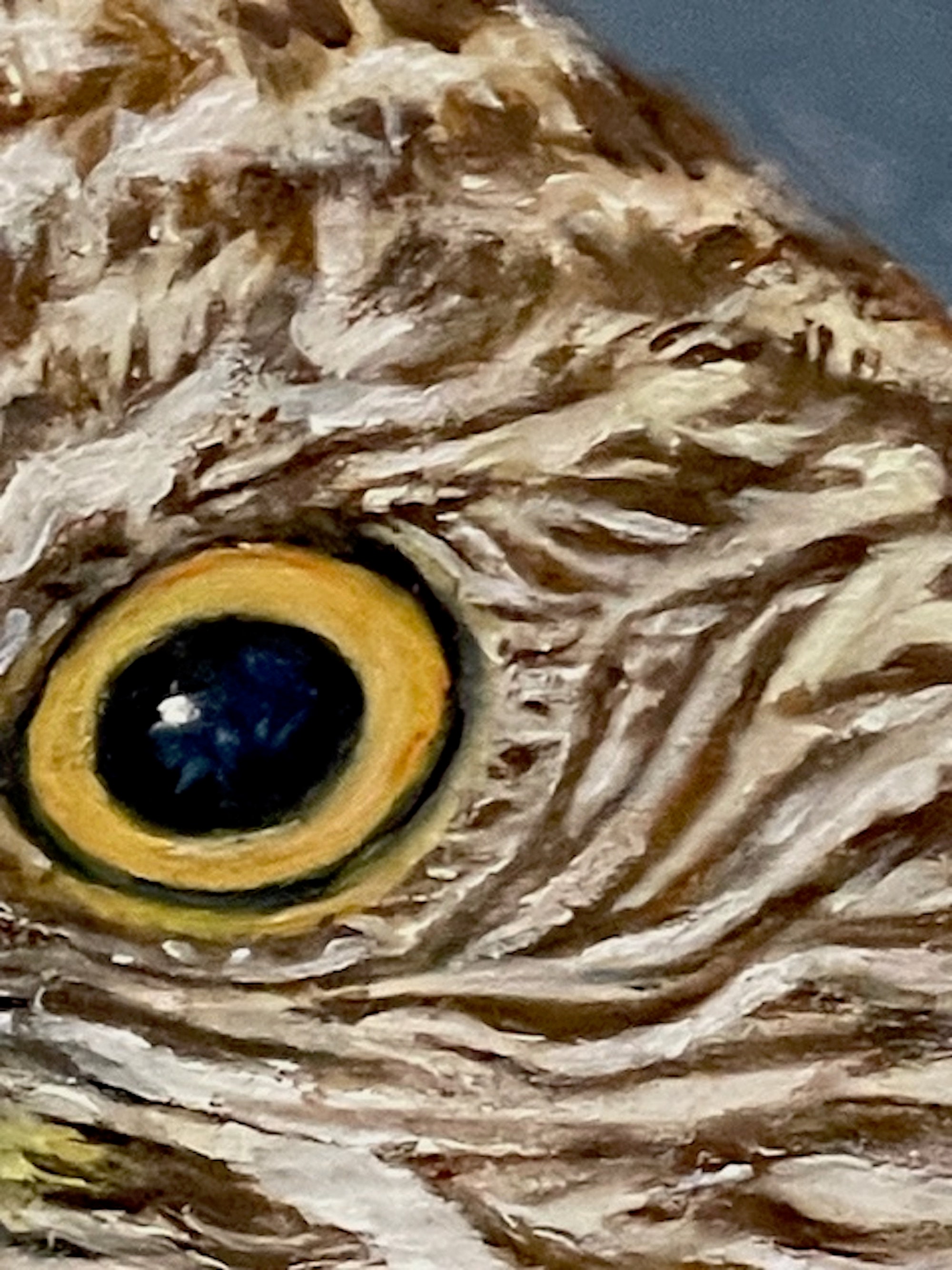 Red-tailed Hawk Portrait Painting, Bird Art, Hand Painted With Original ...