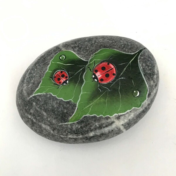 Lady Bug Rocks - Etsy