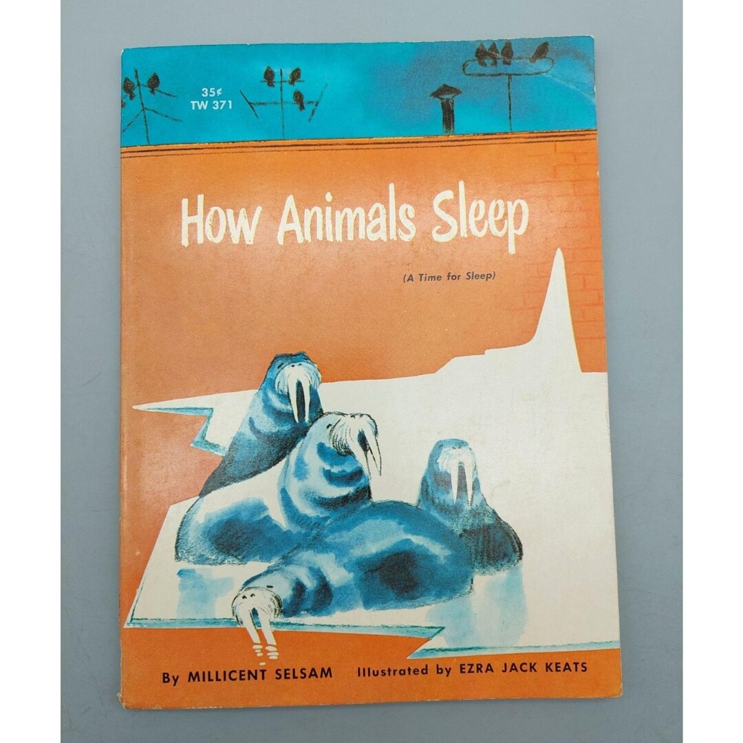 Vintage Childrens Book How Animals Sleep Scholastic 1962 Non-fiction ...