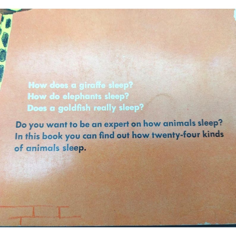 Vintage Childrens Book How Animals Sleep Scholastic 1962 Non-fiction ...