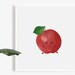Cute Apple Art Print | PRINTABLE Wall Art | Fruit Wall Decor | Kitchen ...