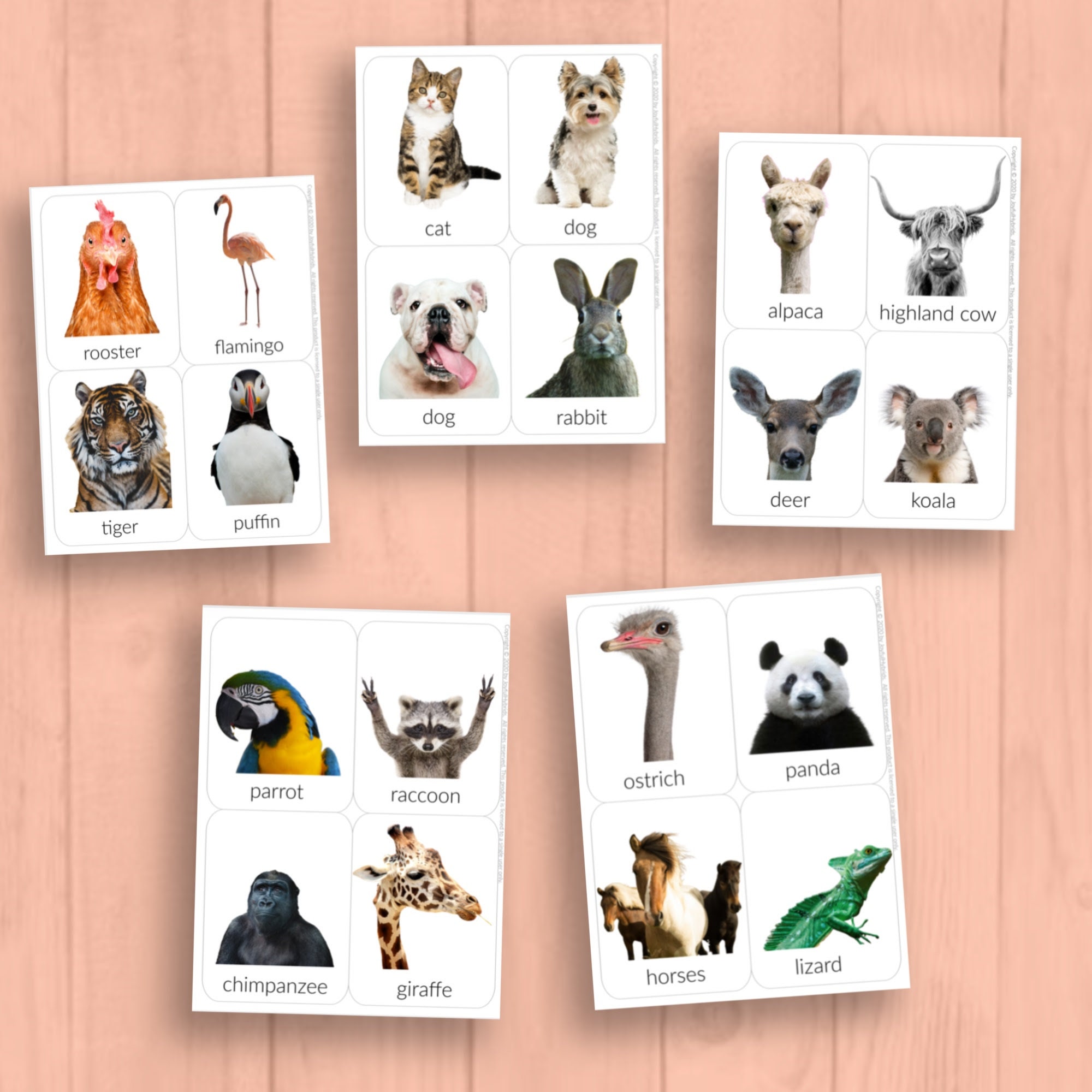 ANIMALS (real Pictures) • Montessori • Doman • Flashcards • Flash Cards ...