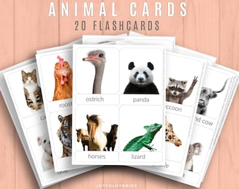 EMOTIONS (real Pictures) • Doman, Montessori • Flashcards, Flash Cards ...