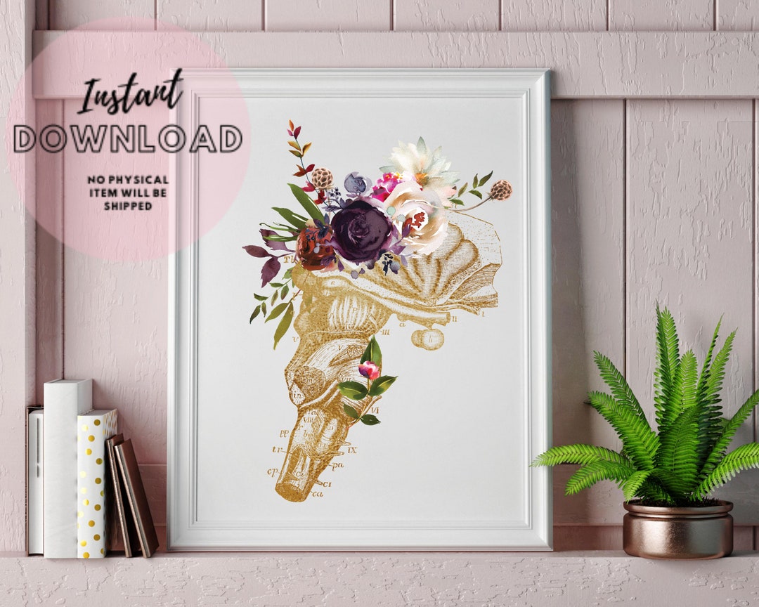 Brain Anatomy Spinal Cord Poster, Therapist Psychology Art Psychologist ...