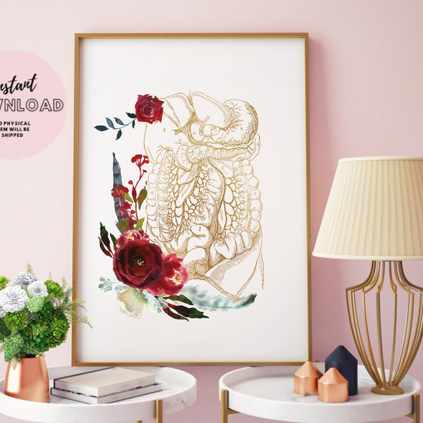 Digestive System Poster - Etsy