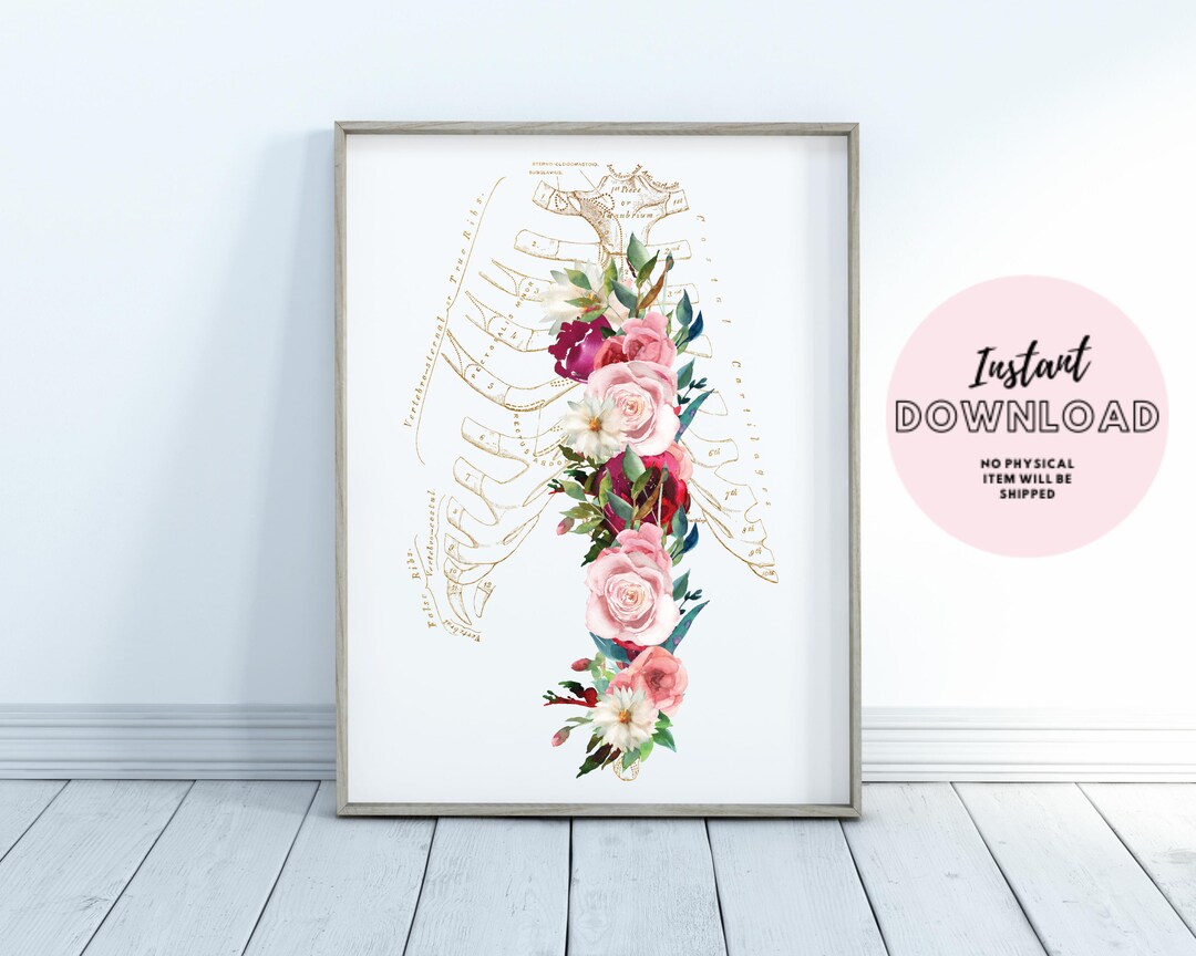 Thorax Wall Art Floral Print, Med Student Gift, Radiologist Thoracic ...