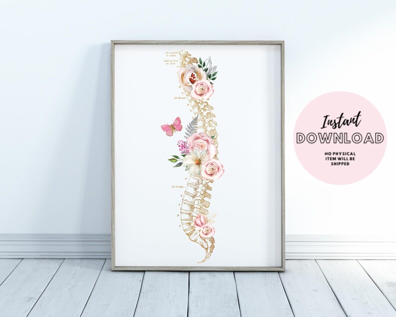 Spinal Column Vertebra Anatomy Poster Physical Gift Chiropractic Office ...