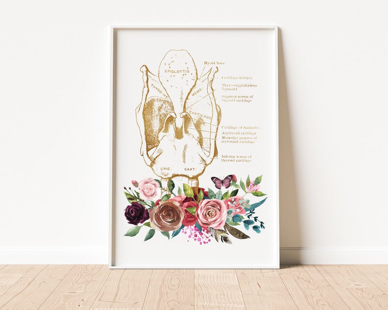 Larynx Anatomy Diagram Printable Wall Art Print Speech Language ...
