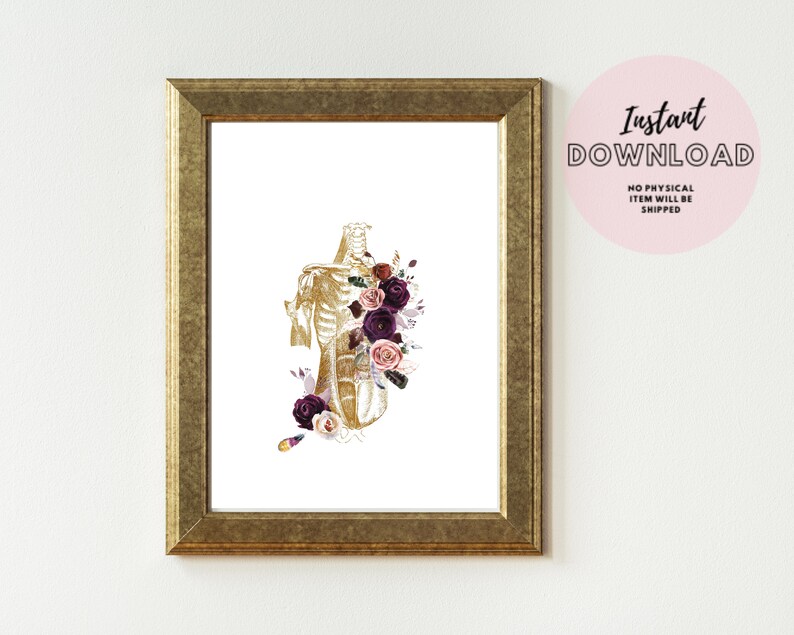 Human Torso Muscles Anatomy Skeletal System Muscle Wall Art Massage ...