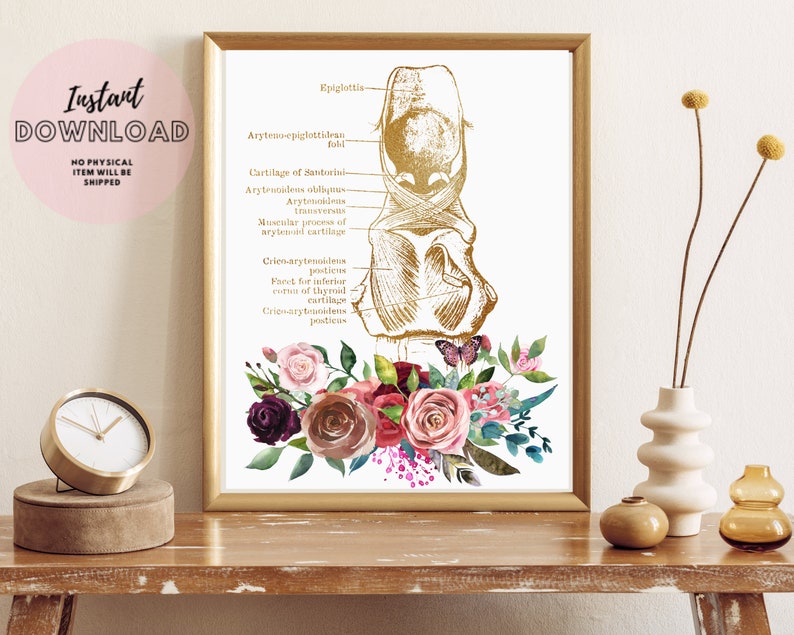 Larynx Musle Anatomy Diagram Printable Art Print Speech Language ...