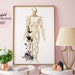 Muscular System Print Massage Therapist Doctor Office Decor Graduation ...