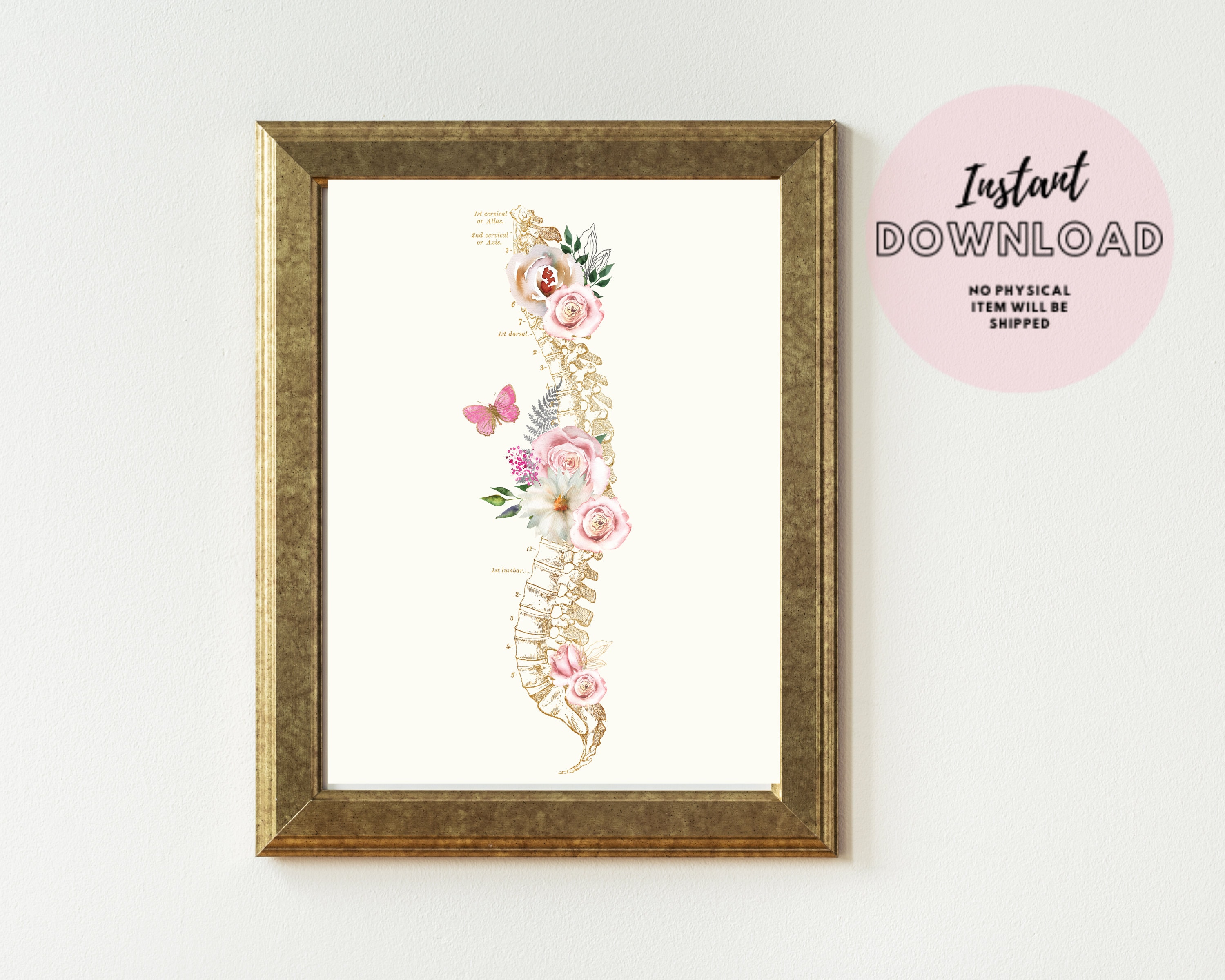 Spinal Column Vertebra Anatomy Poster Physical Gift Chiropractic Office ...