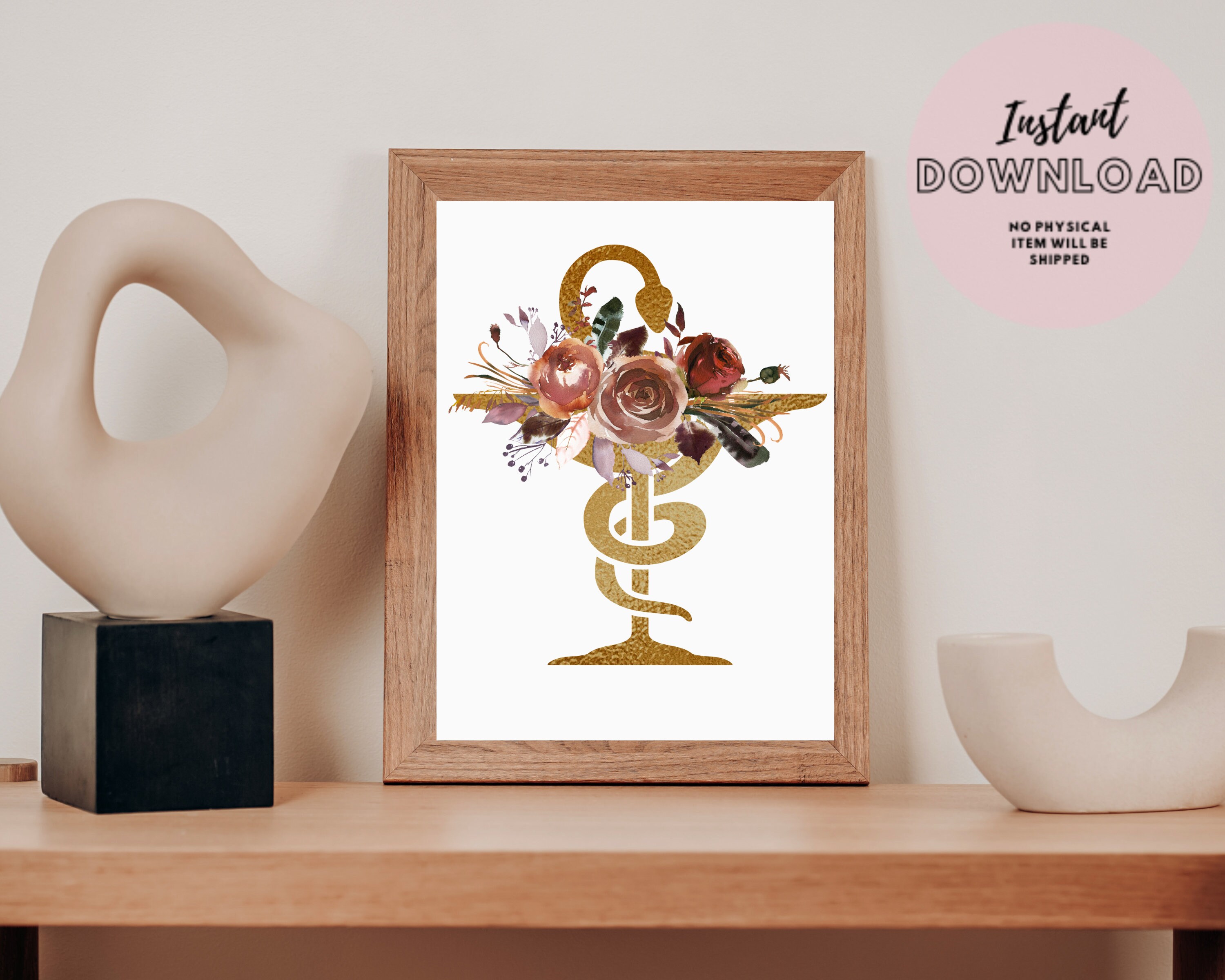 Pharmacy Store Decor Set of 3 Print Bowl of Hygeia Pharmacist OATH ...