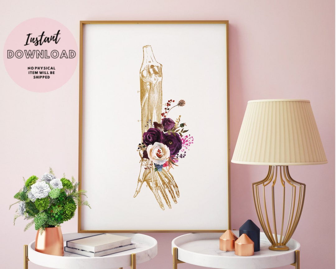 Arm Muscles Poster, Chiropractor Gift, Chiropractic Poster, Physical ...