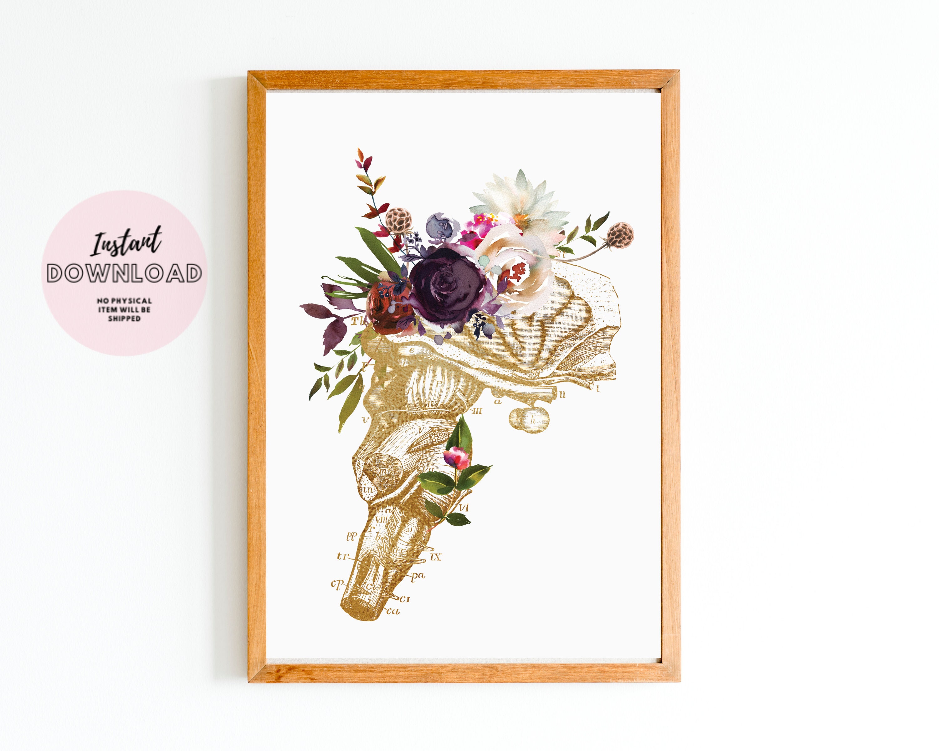 Brain Anatomy Spinal Cord Poster, Therapist Psychology Art Psychologist ...