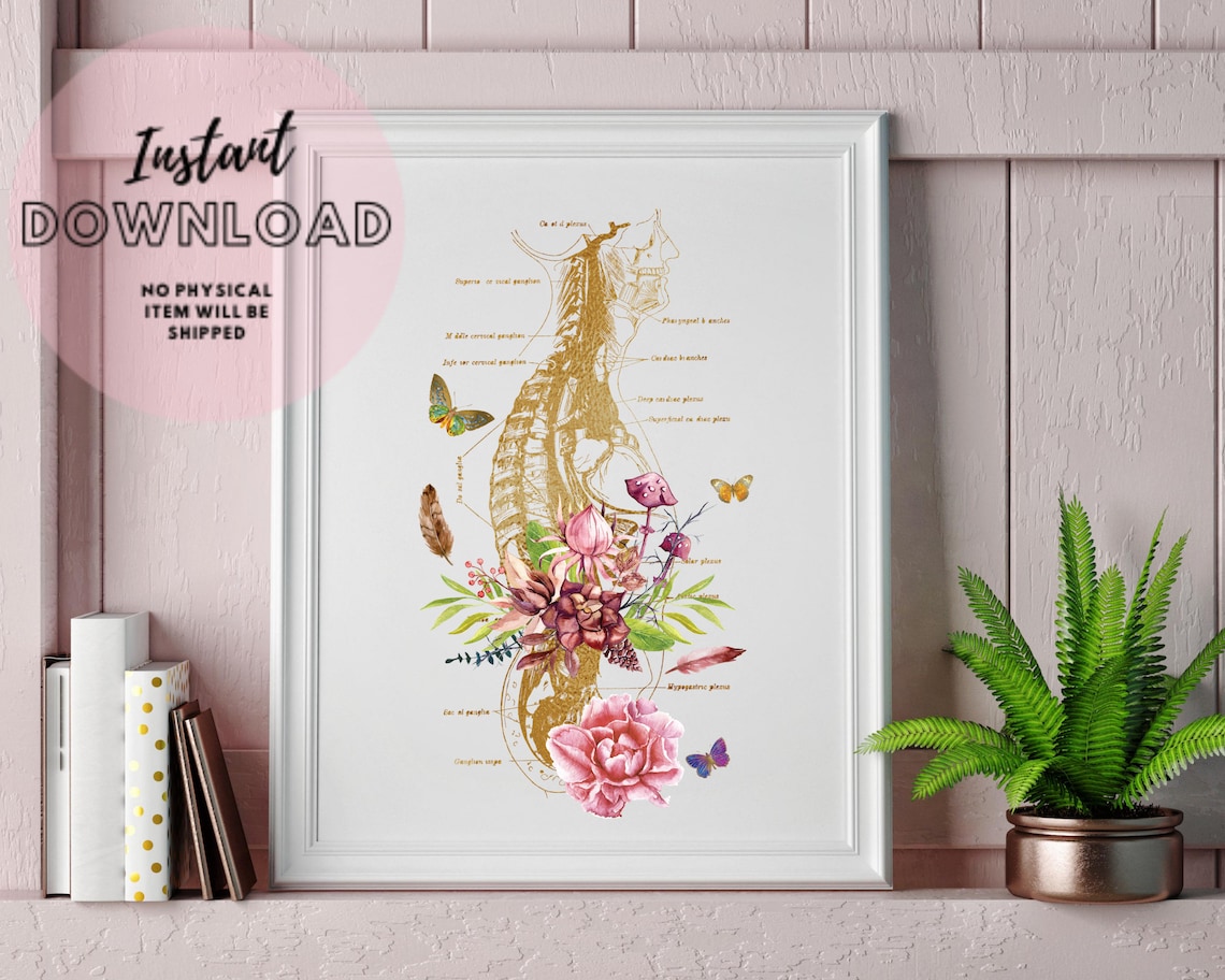 Human Body Diagram Art Printable Internal Organs Poster Medical Chart ...