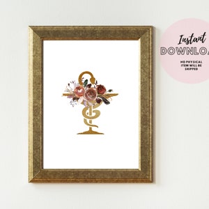 Pharmacy Store Decor Set of 2 Print Bowl of Hygeia Pharmacist Student ...