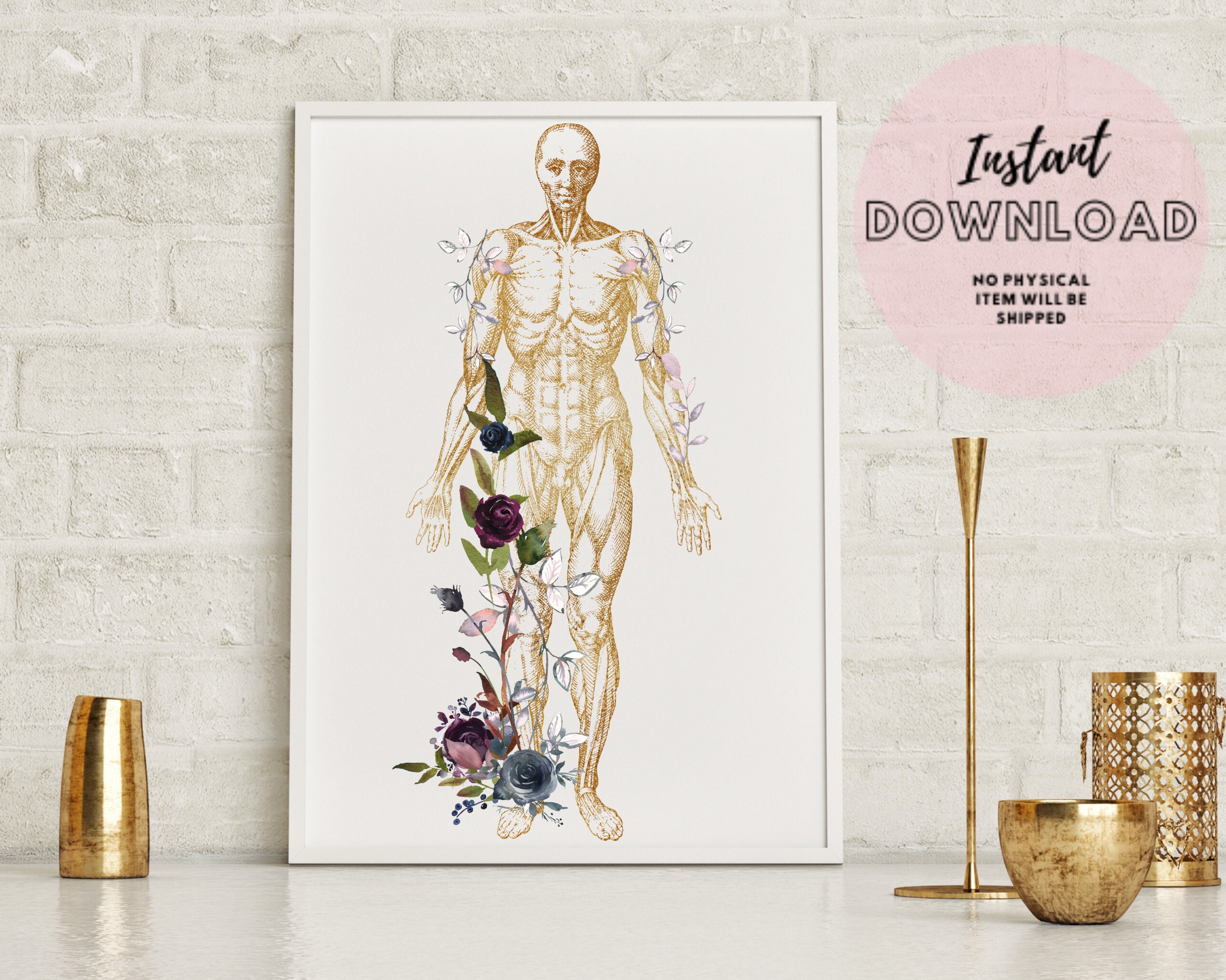 Prints Digital Prints Muscles Anatomy Art Physical Therapist Office ...