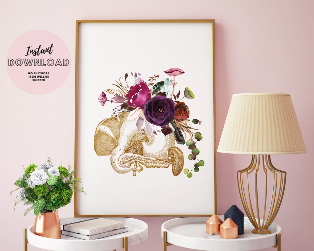 Pancreas Anatomy Print Medical Office Decor Internal Human Anatomical ...