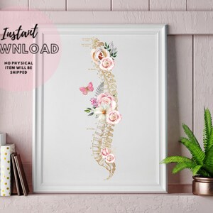 Spinal Column Vertebra Anatomy Poster Physical Gift Chiropractic Office ...